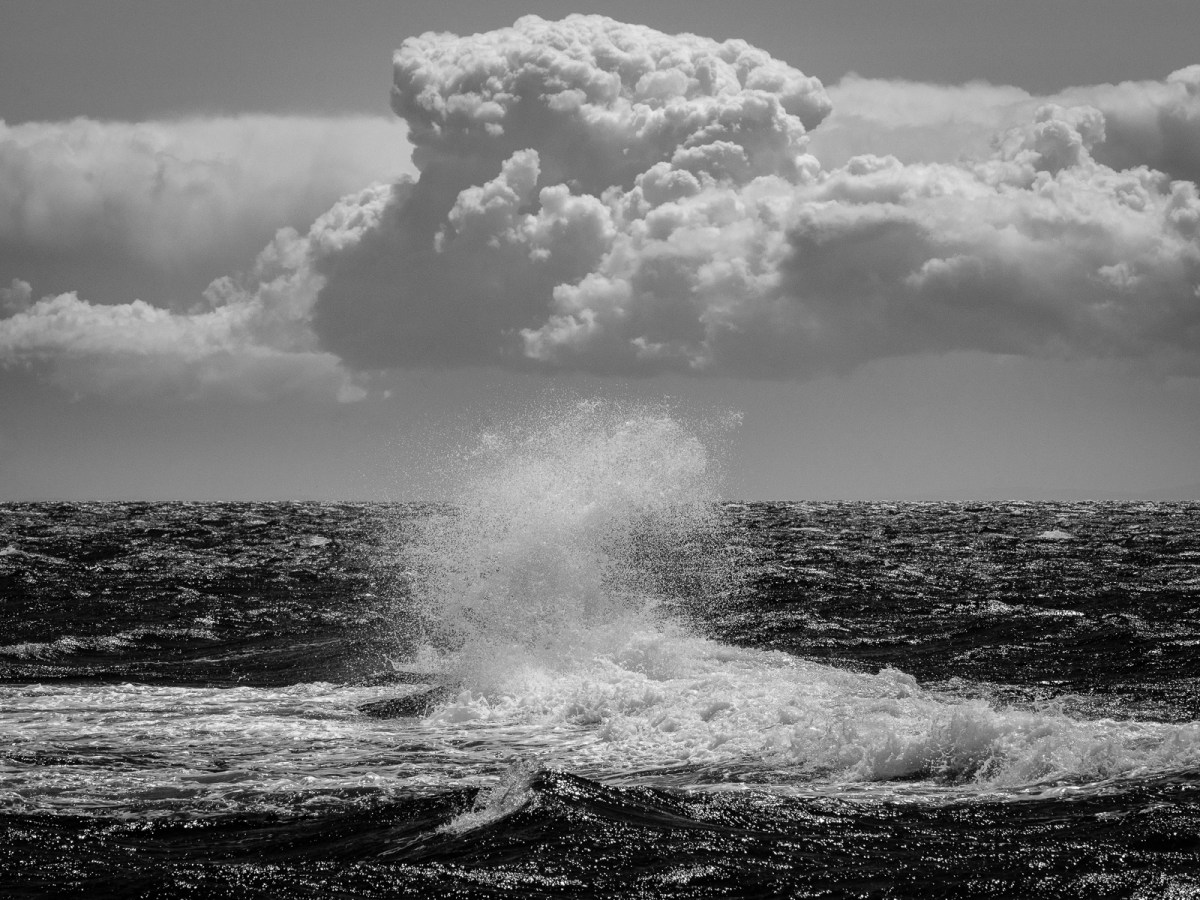 Subject isolation – DON CRAIG photography